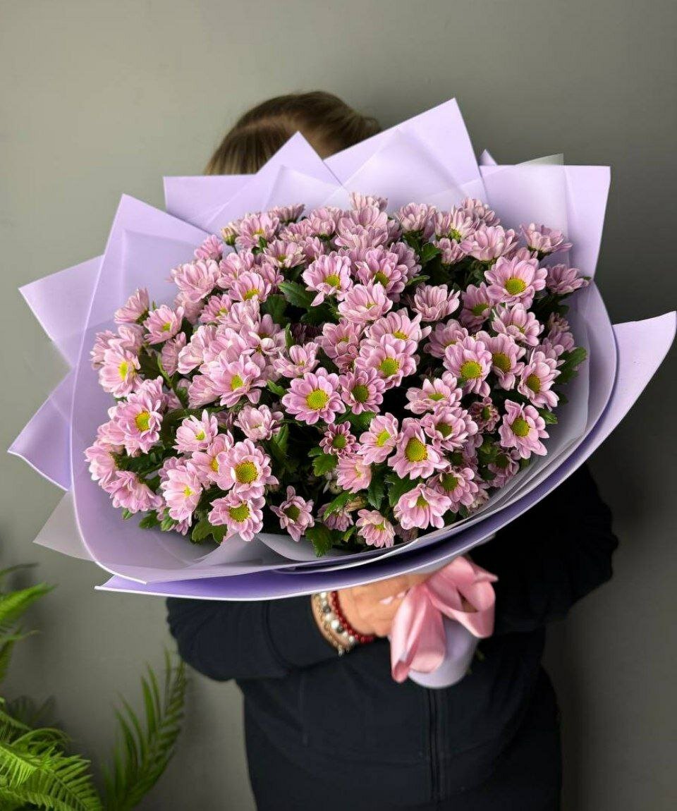 Букет из розовых кустовых хризантем Сантини 17 штук в стильной упаковке BOTANIQUE FLOWER / пышный букет с доставкой