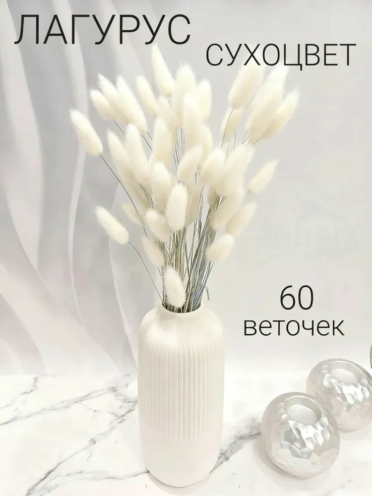 Сухоцветы Лагурус, 55 см, 100 гр, 60 шт