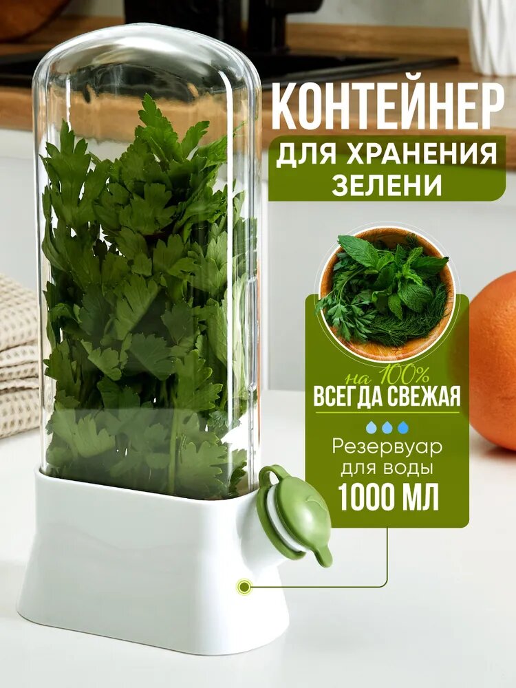 Контейнер для хранения зелени свежей в холодильник