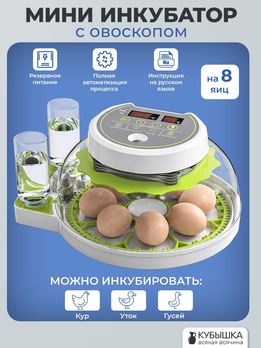 Мини инкубатор на 8 куриных яиц WQ-GY8