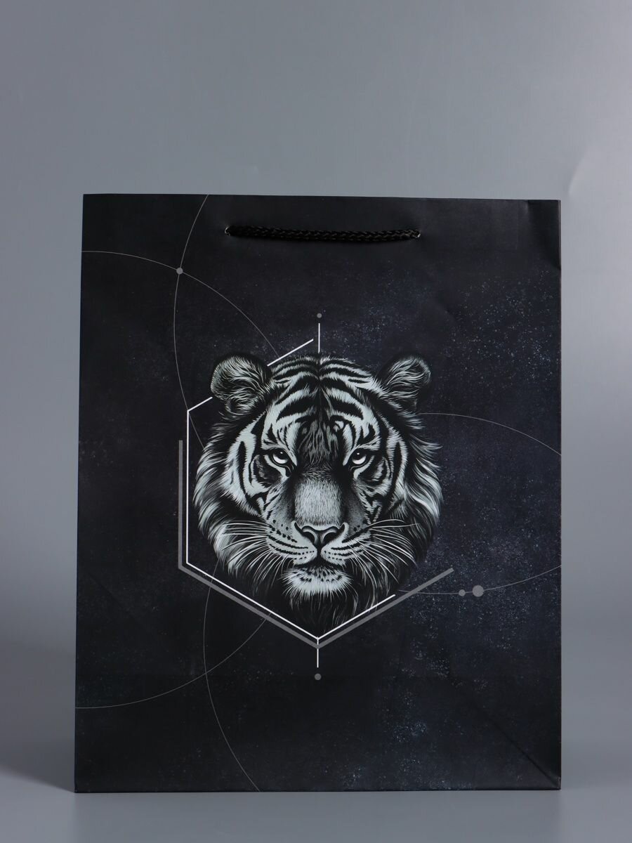 Набор подарочных пакетов 2 шт. ламинированные Сила характера , чёрный, 26 х 12 х 32 см