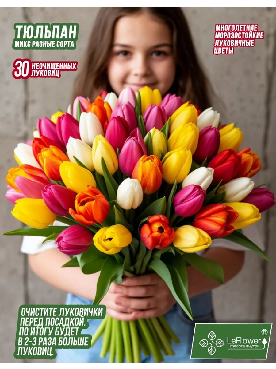 Тюльпан Луковицы, Микс сортов, 30шт