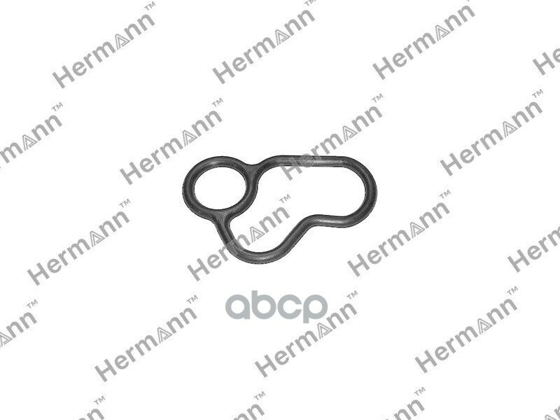HR21300JG31C Прокладка Hermann арт. HR21300JG31C