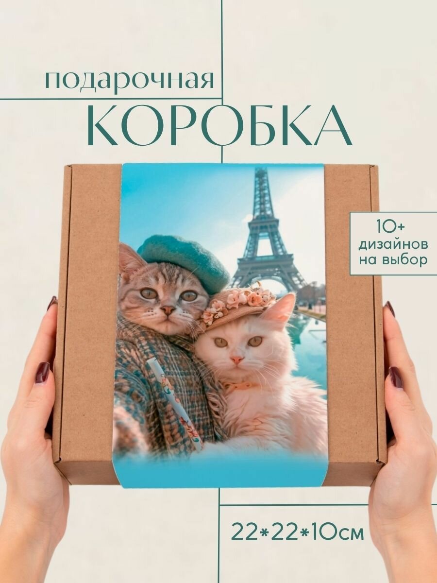 Самосборная крафтовая коробка с шубером для подарка - коты в Париже