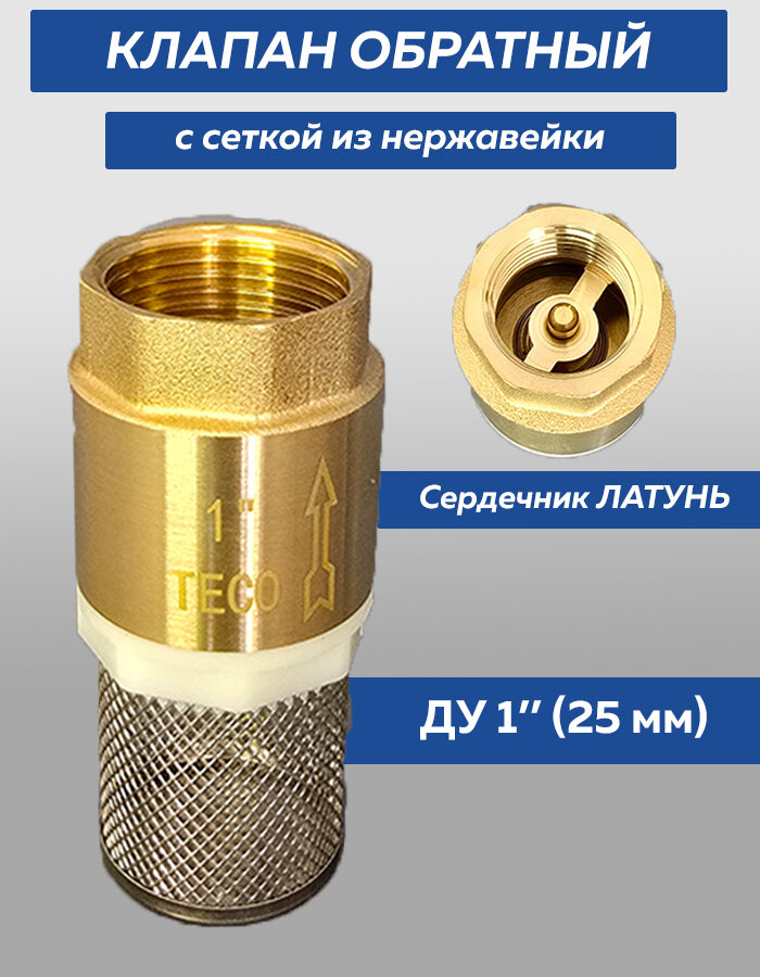 Клапан обратный с сеткой 1дюйм, ВР