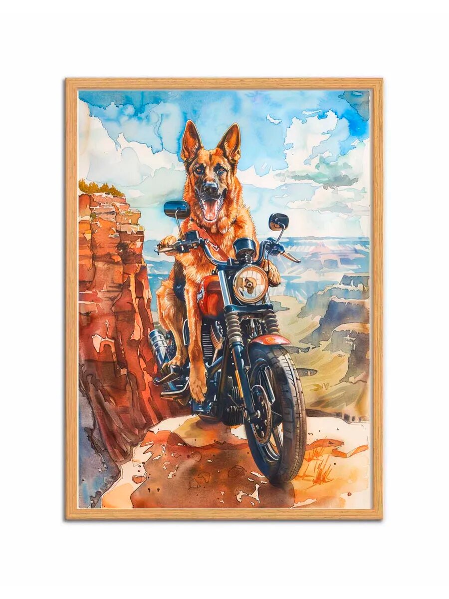 Немецкая овчарка Байкер 5, Плакат 30x42см