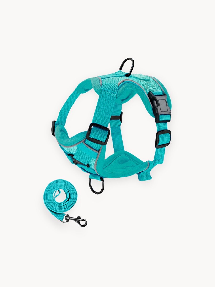 Шлейка прогулочная для собак и кошек регулируемая Wonder Pet / размер S / бирюзовая