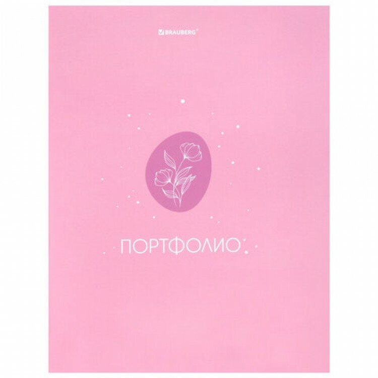 Папка-портфолио универсальная, 4 кольца, 20 файлов, 7БЦ матовая, BRAUBERG, "Gentle", 117558