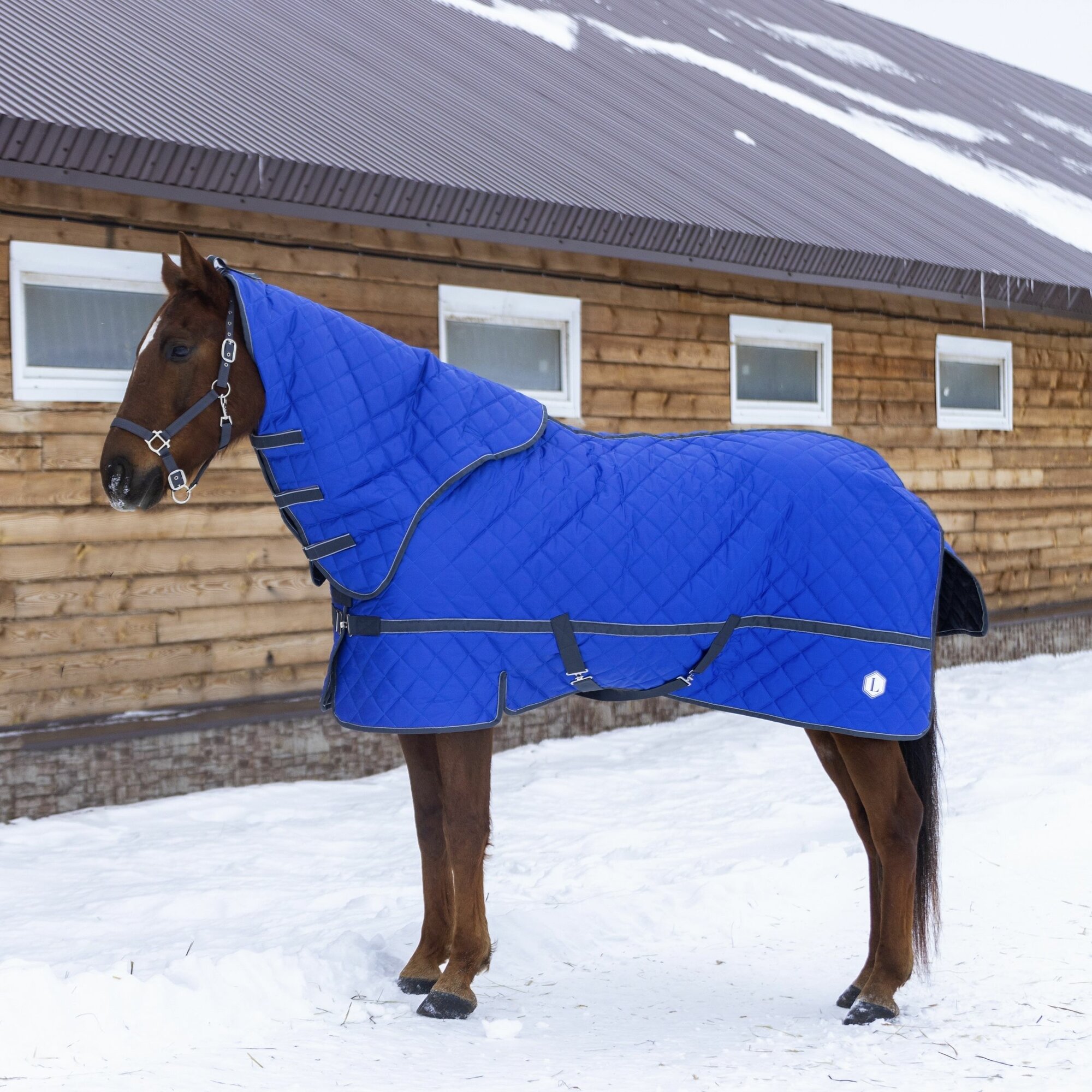 Попона для лошади