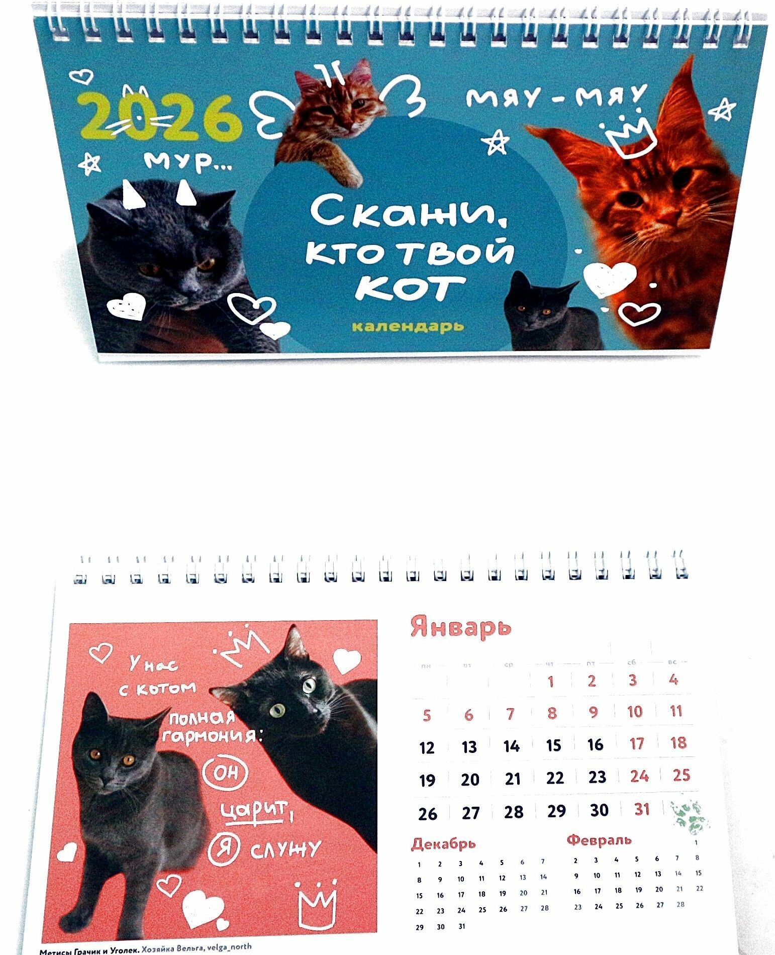 Календарь домик на спирали Мяу-мяу , кто твой кот на спирали на 2026 год