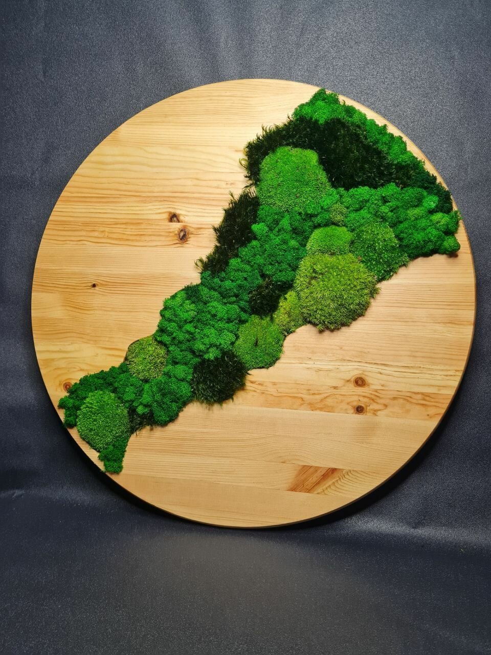 Круглая картина/столешница из разных видов мха 60 см