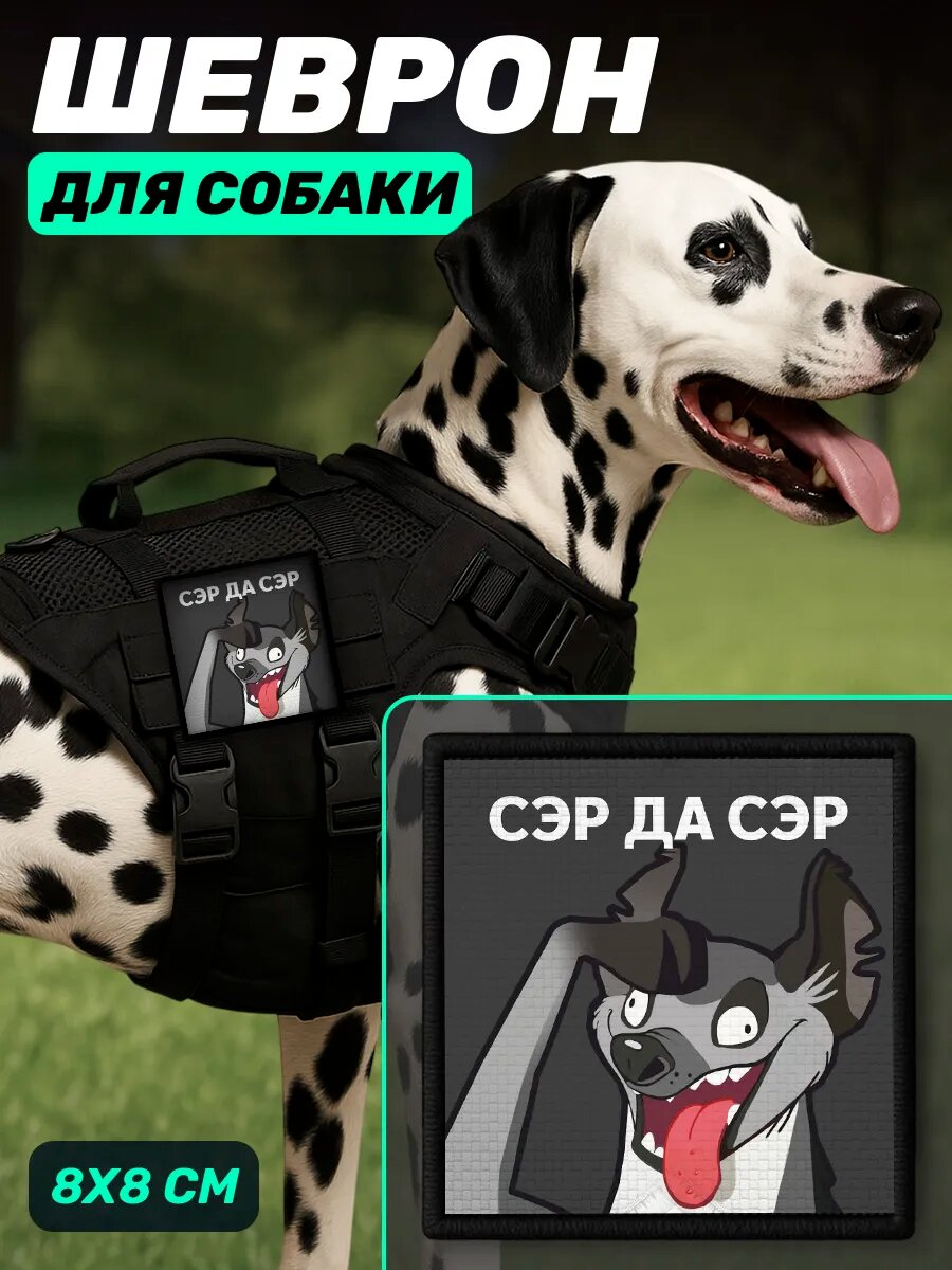 Шеврон на шлейку для собак Сэр да сэр