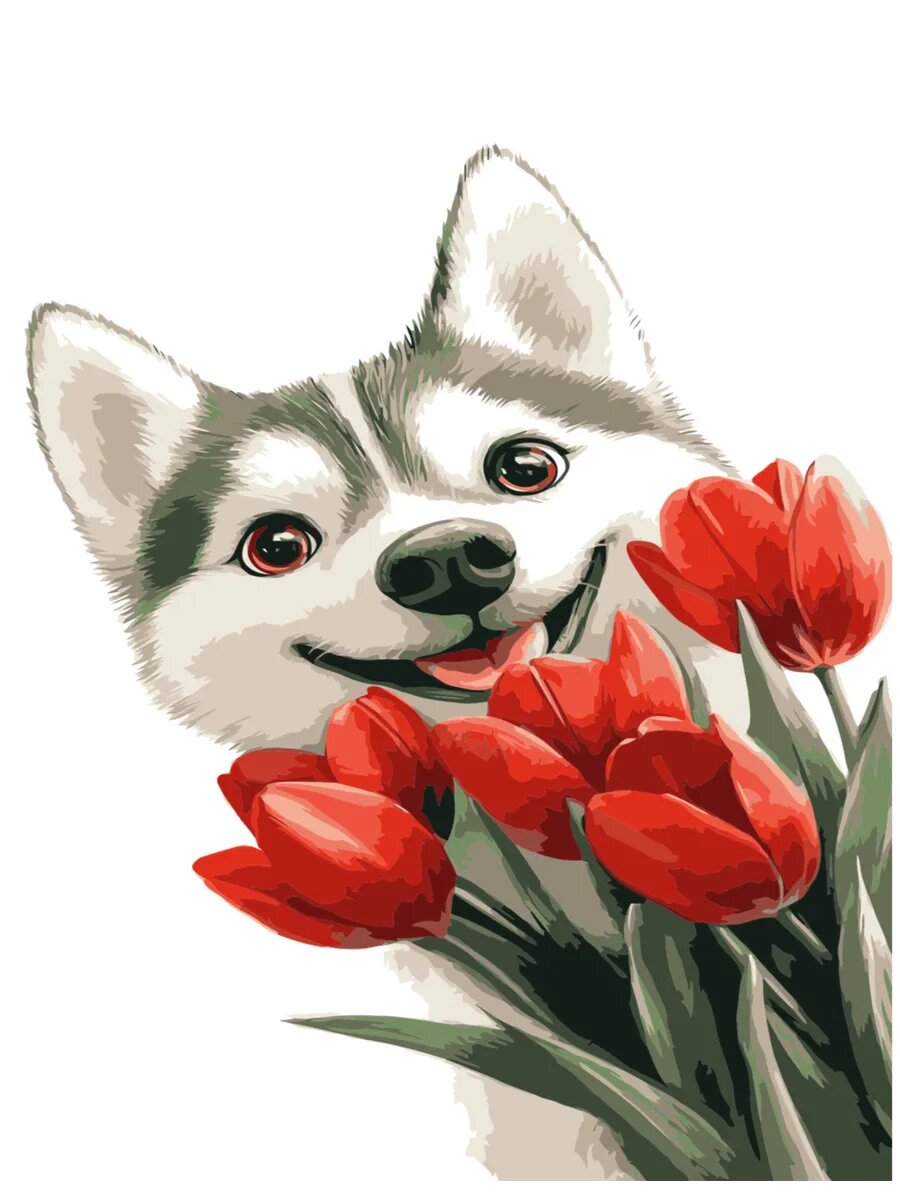 Картина по номерам хаски