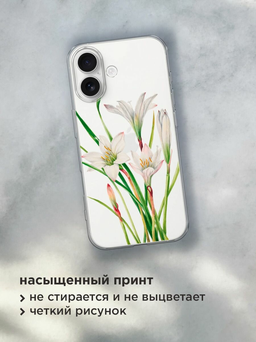 Чехол на Apple iPhone 17 / Айфон 17 с принтом "White lily", прозрачный — фото 1