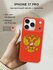 Чехол на Apple iPhone 17 Pro / Айфон 17 Про с принтом "Герб России полотно"