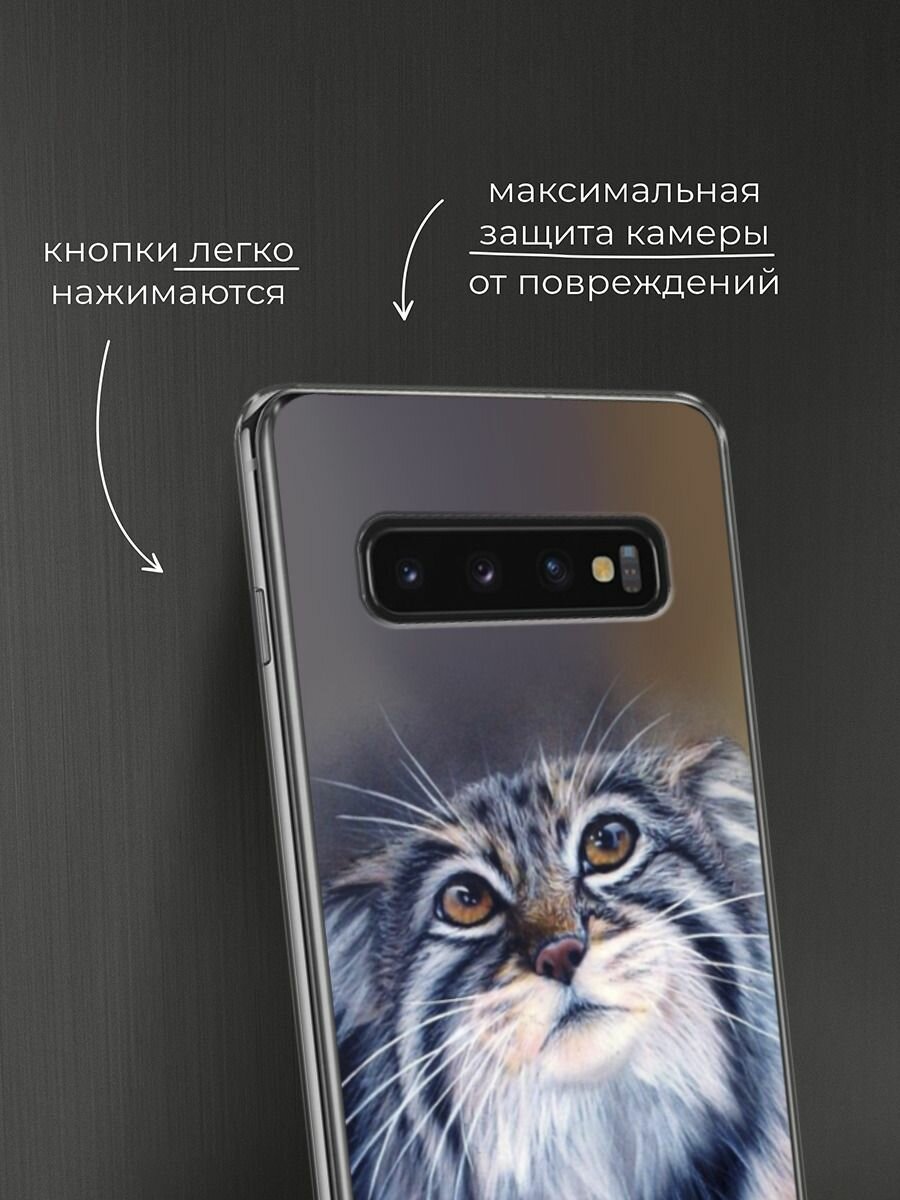 Чехол на Samsung Galaxy S10 + / Самсунг Галакси S10 Плюс с принтом "Кот манул 2" — фото 1