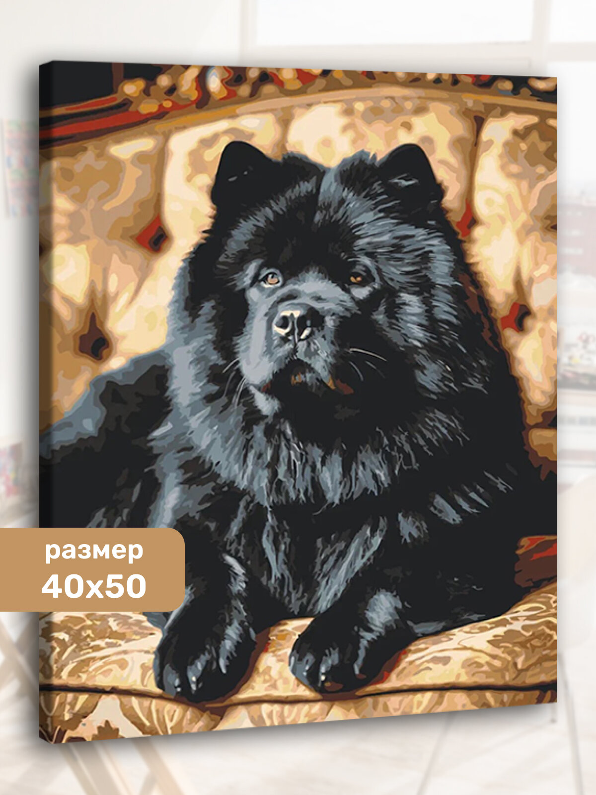 Картина по номерам на холсте и подрамнике "Черный Чау-чау" 40x50 см