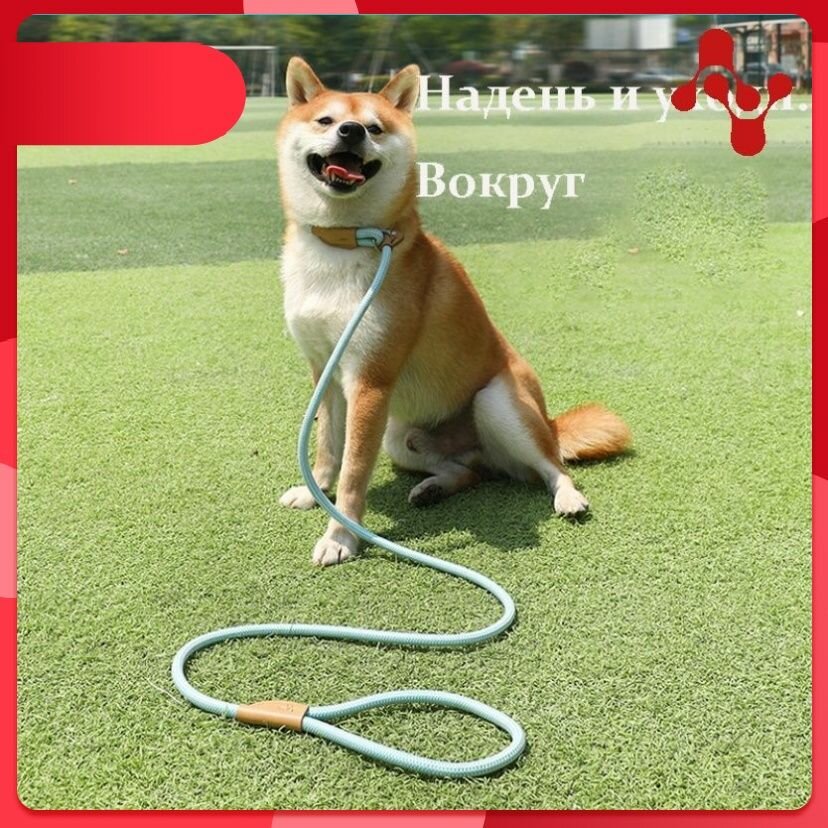 Эксклюзивный тягач для псов