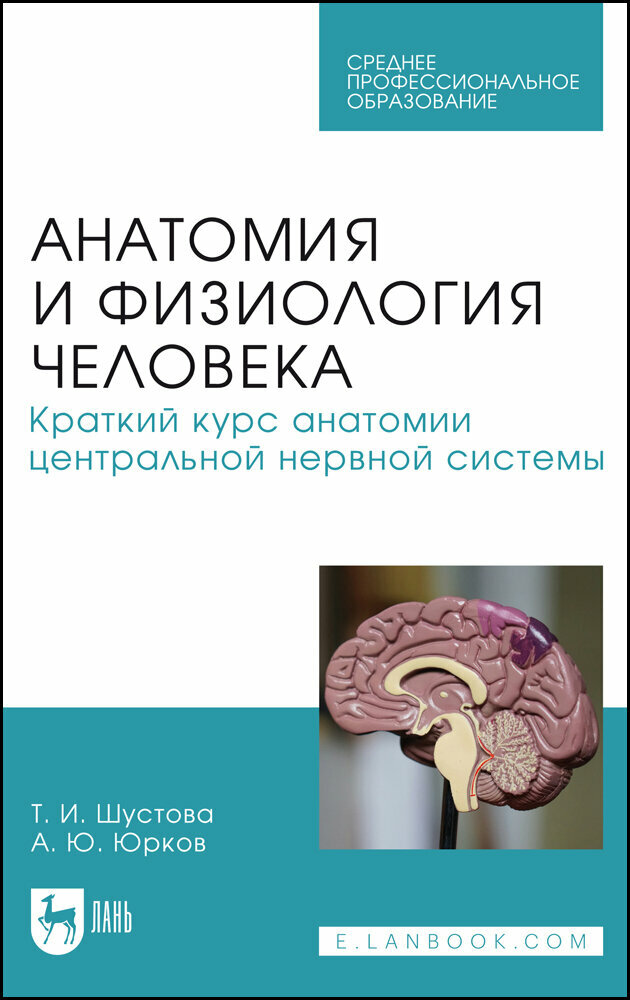 Анатомия и физиология человека. Краткий курс анатомии центральной нервной системы