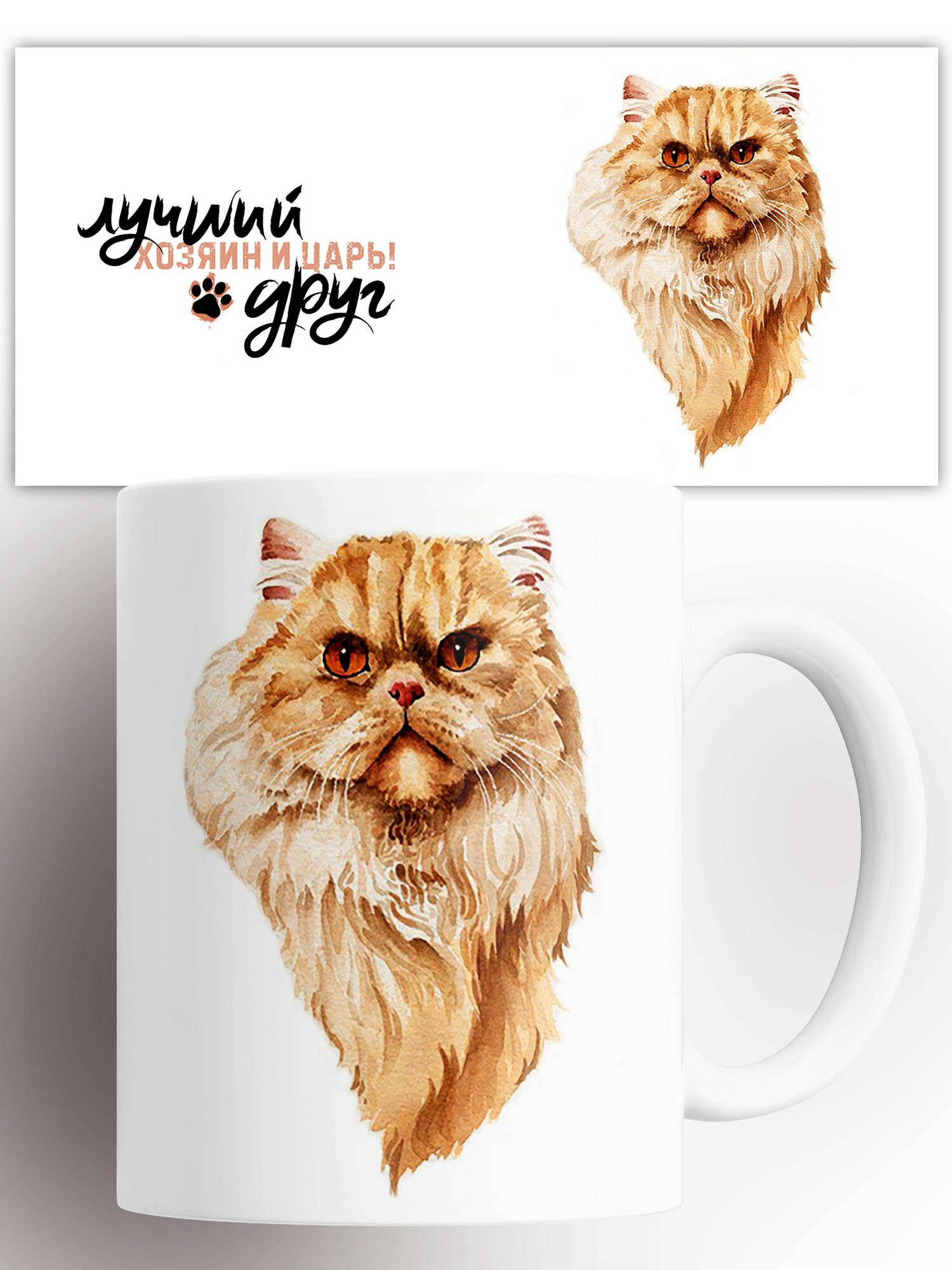 Кружка Персидская кошка cat друг человека хозяин и царь кошкалюб с принтом 330 мл