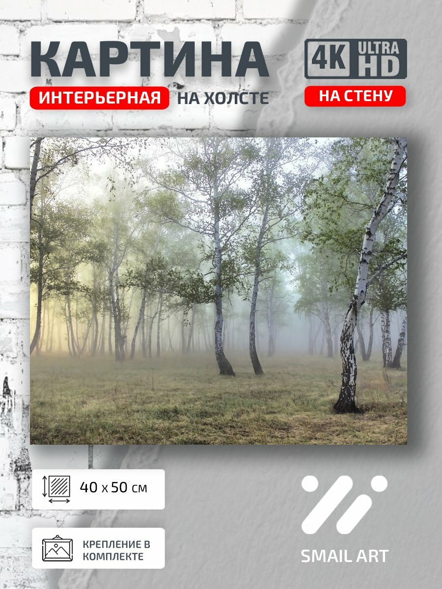 Картина на холсте интерьерная 40 на 50 на стену Утро Landscape для кабинета пейзаж интерьер