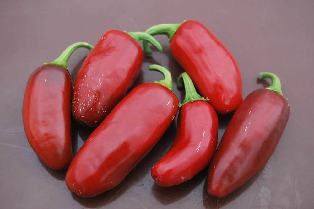 Коллекционные семена перца острого Хулиган Халапеньо