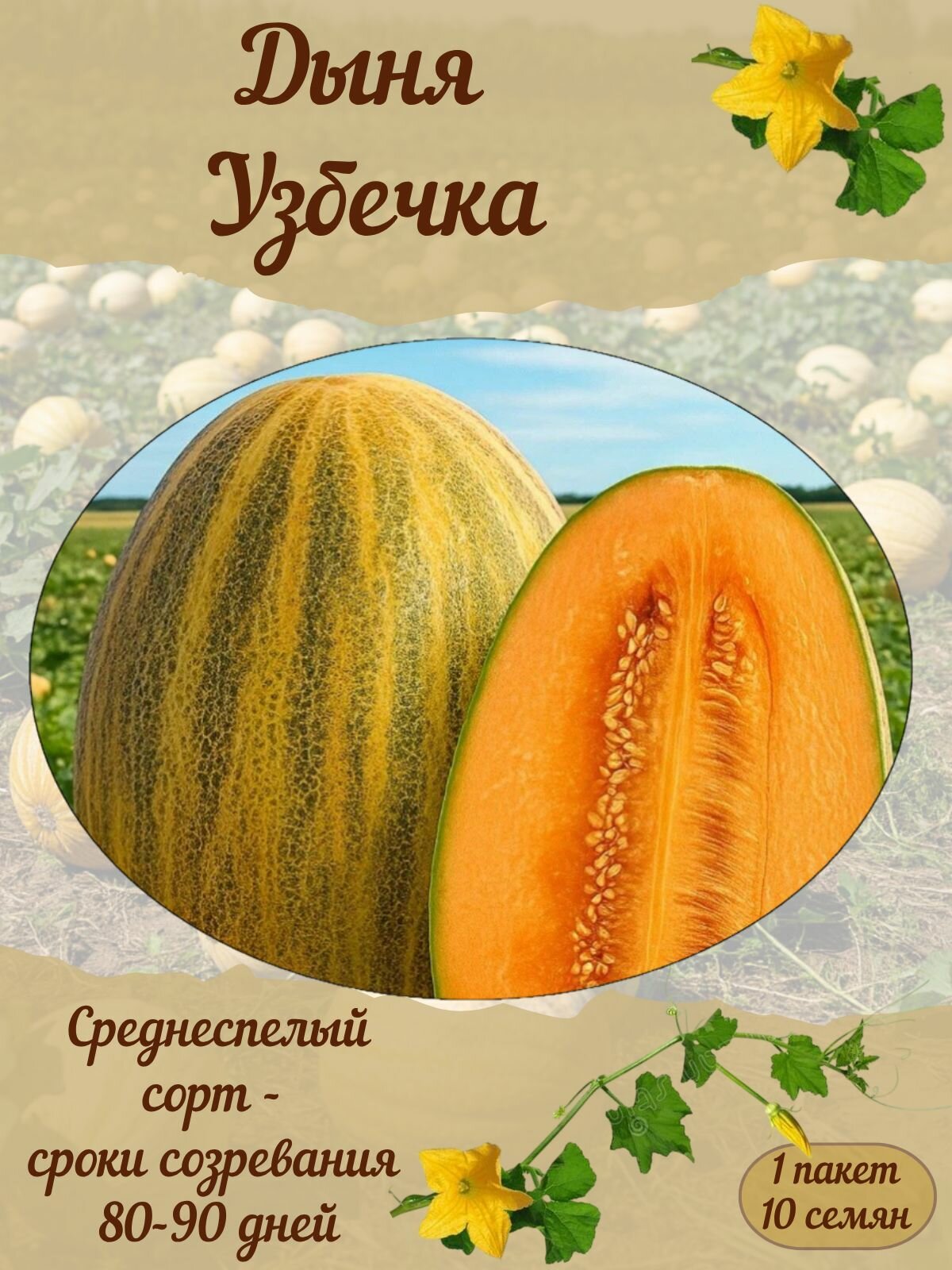 Дыня Узбечка, 10 шт, 15 гр.