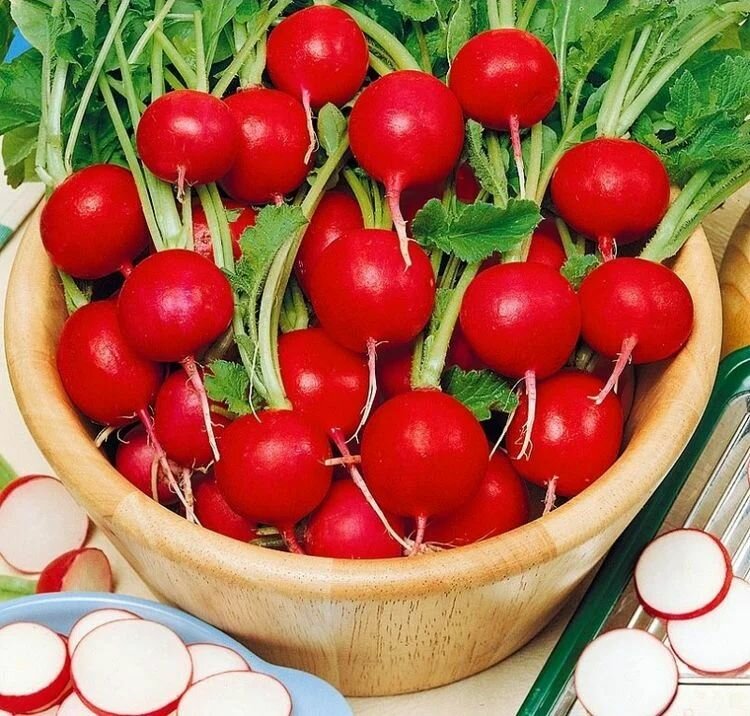 Коллекционные семена редиса Диего F1