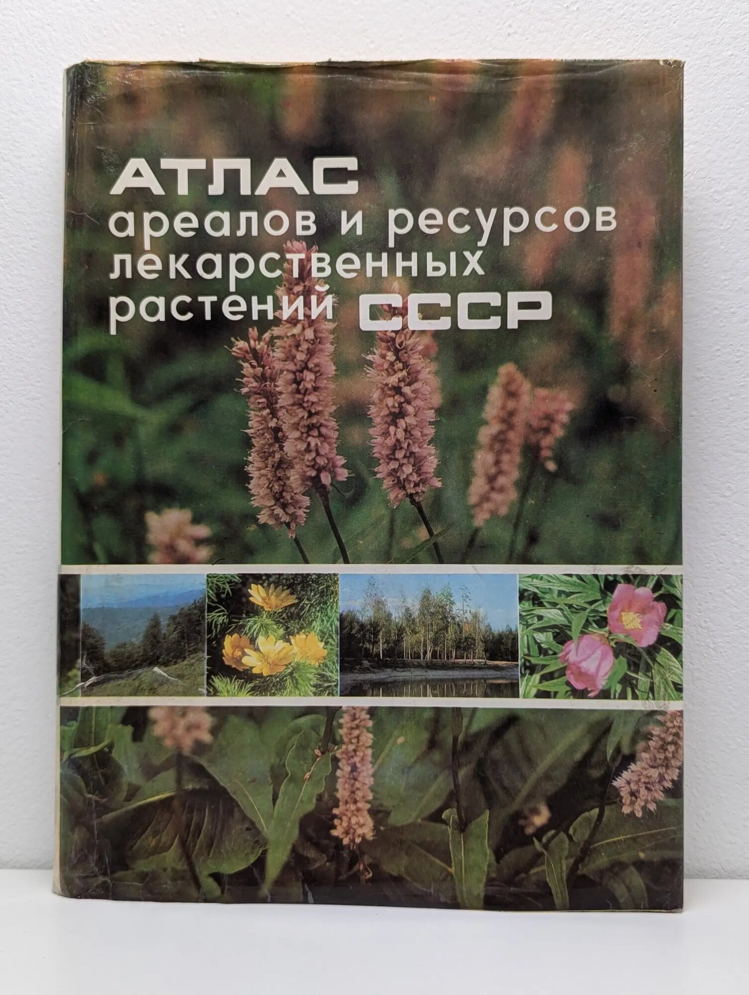 Атлас ареалов и ресурсов лекарственных растений СССР Сборник 1976