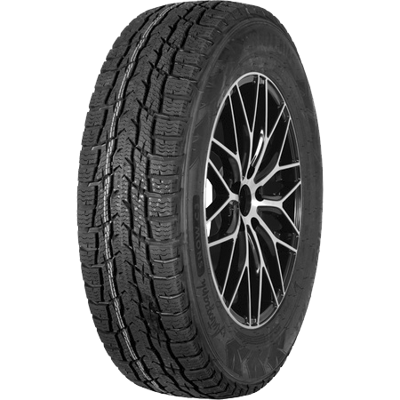 Зимние автошины Ikon Tyres Autograph Snow C3 225/65 R16C 112/110R