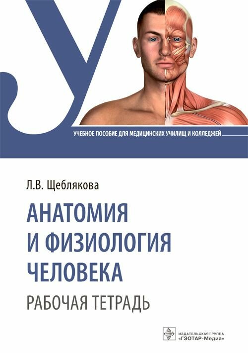 Анатомия и физиология человека. Рабочая тетрадь : учебное пособие / Л. В. Щеблякова. — Москва : гэот