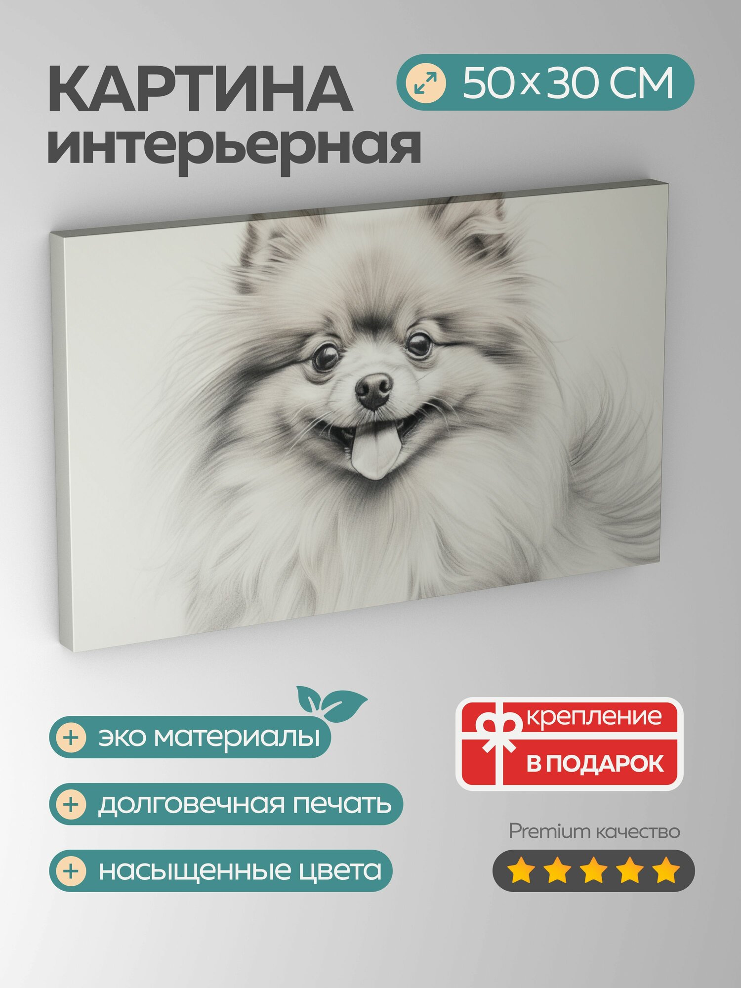 Картина на холсте интерьерная 50х30 см, шпиц, ангел, пушистый, мех, морда, растушевка, линии