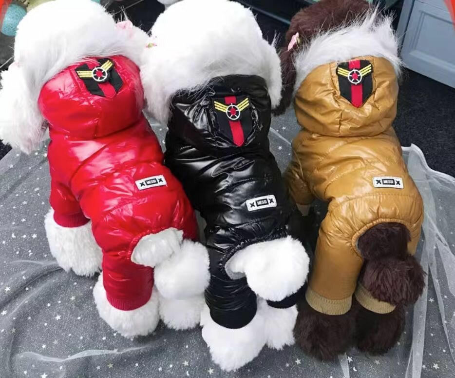 Комбинезон для собак мелких пород Arnydog "Сноу" черный, M (25cm)
