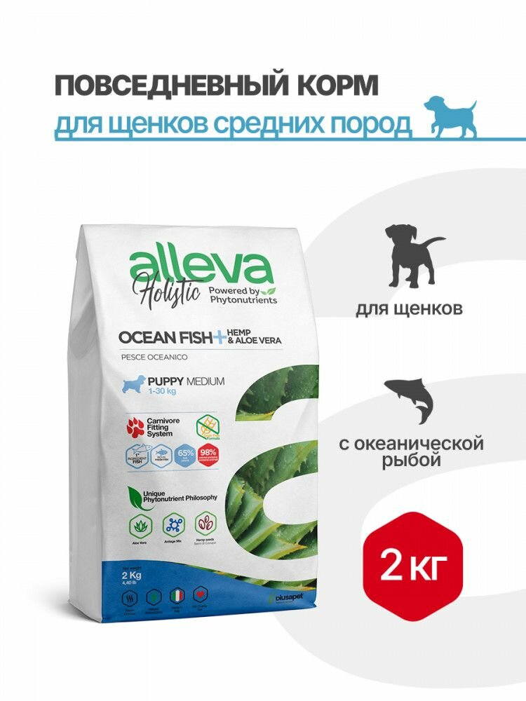 Alleva Holistic Puppy/Junior Ocean Fish Medium сухой корм для щенков средних пород с рыбой, коноплей и алое вера, 2 кг
