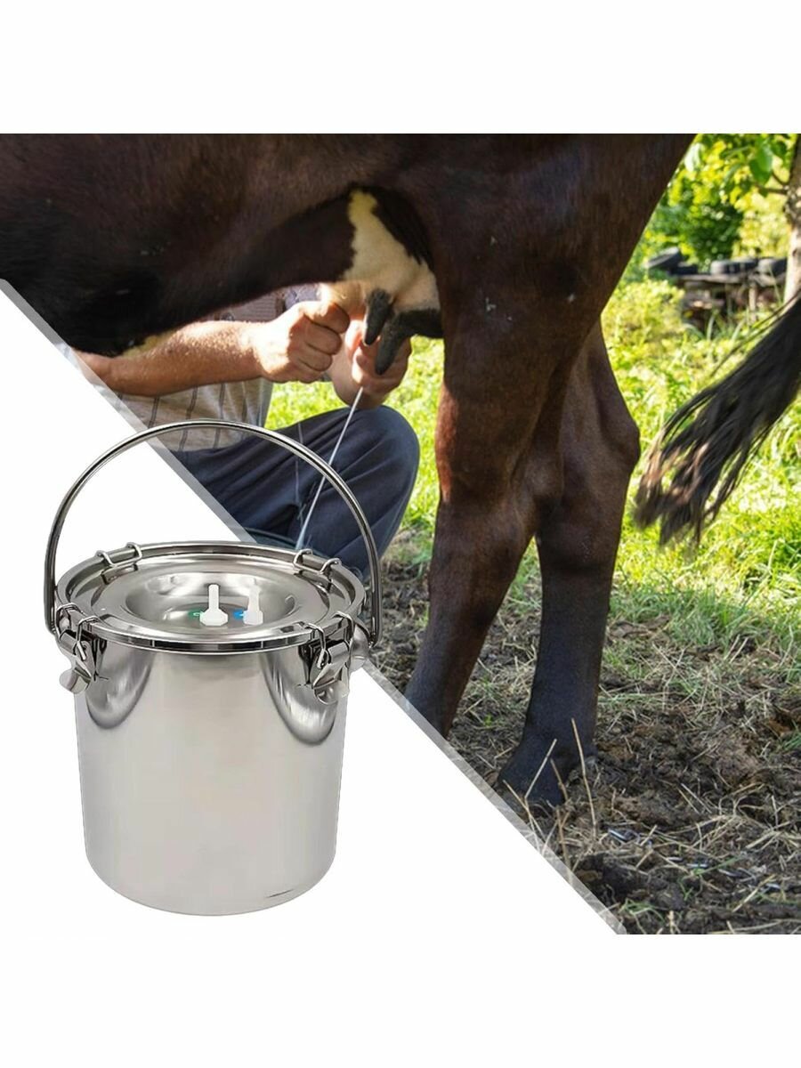 Ведро доильное
