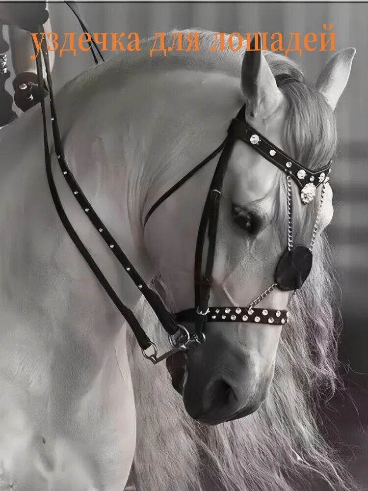 Поводья для верховой Черные кожаные поводья для верховой езды матовые с ограничителем мартингалаезды，