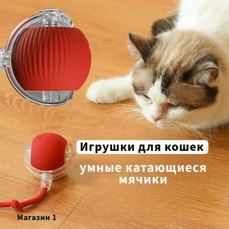 Интерактивная игрушка для кошек, умный мяч для кошек, C-образный перезаряжаемый порт, вес 55 г, пищевой силикон, красный, 1 шт.
