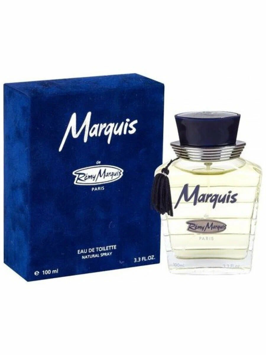 Туалетная вода Remy Marquis "Marquis Pour Homme", мужская, древесно-пряная, 100 мл