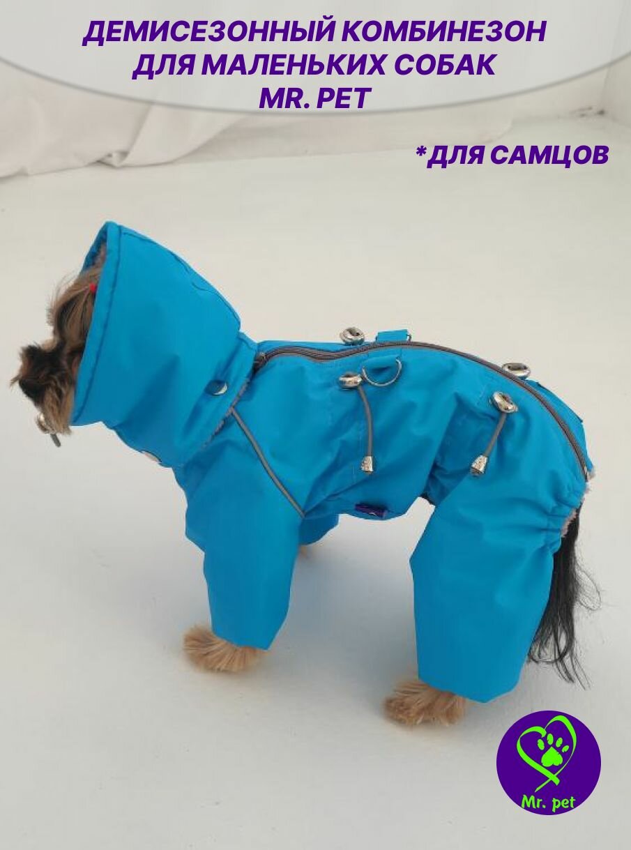 Одежда для животных