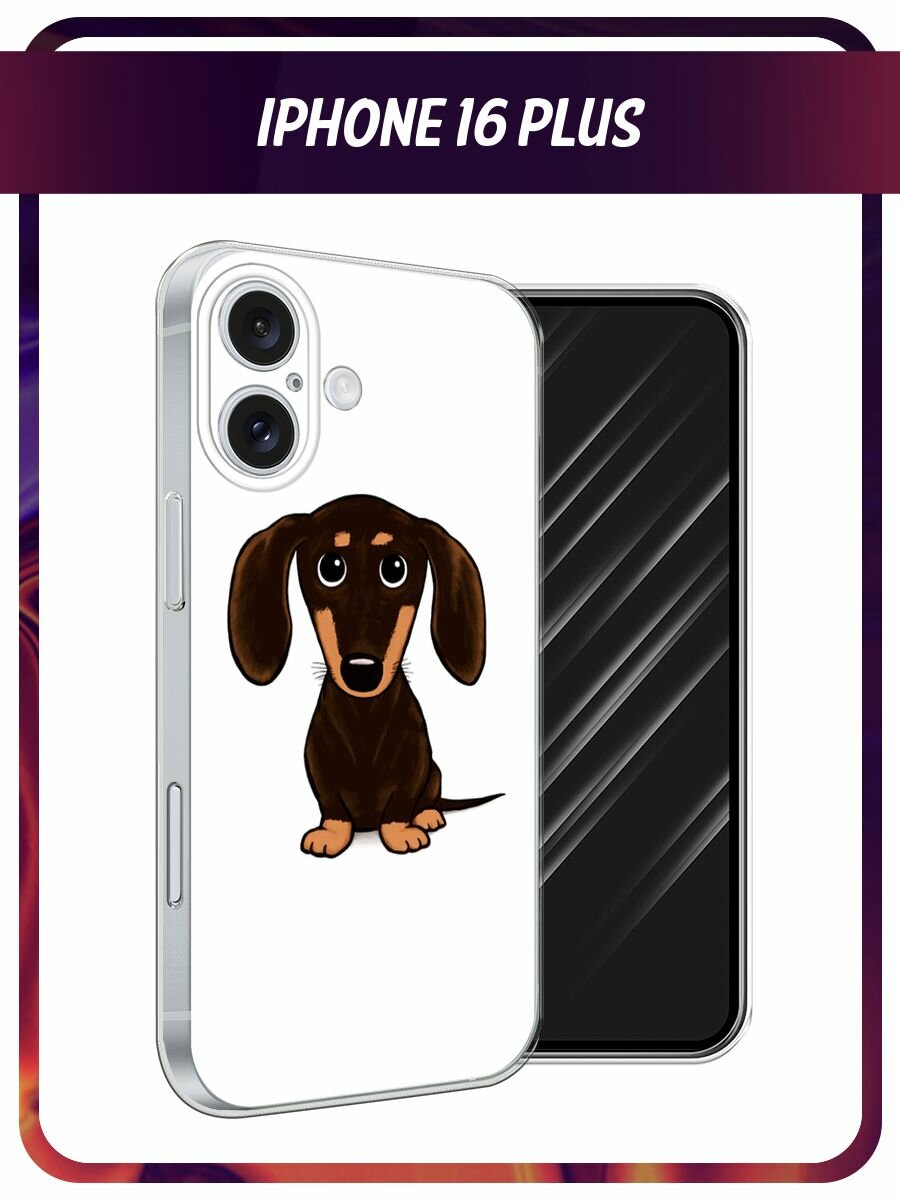 Чехол на Apple iPhone 16 Plus / Айфон 16 Плюс с принтом "Маленькая такса"