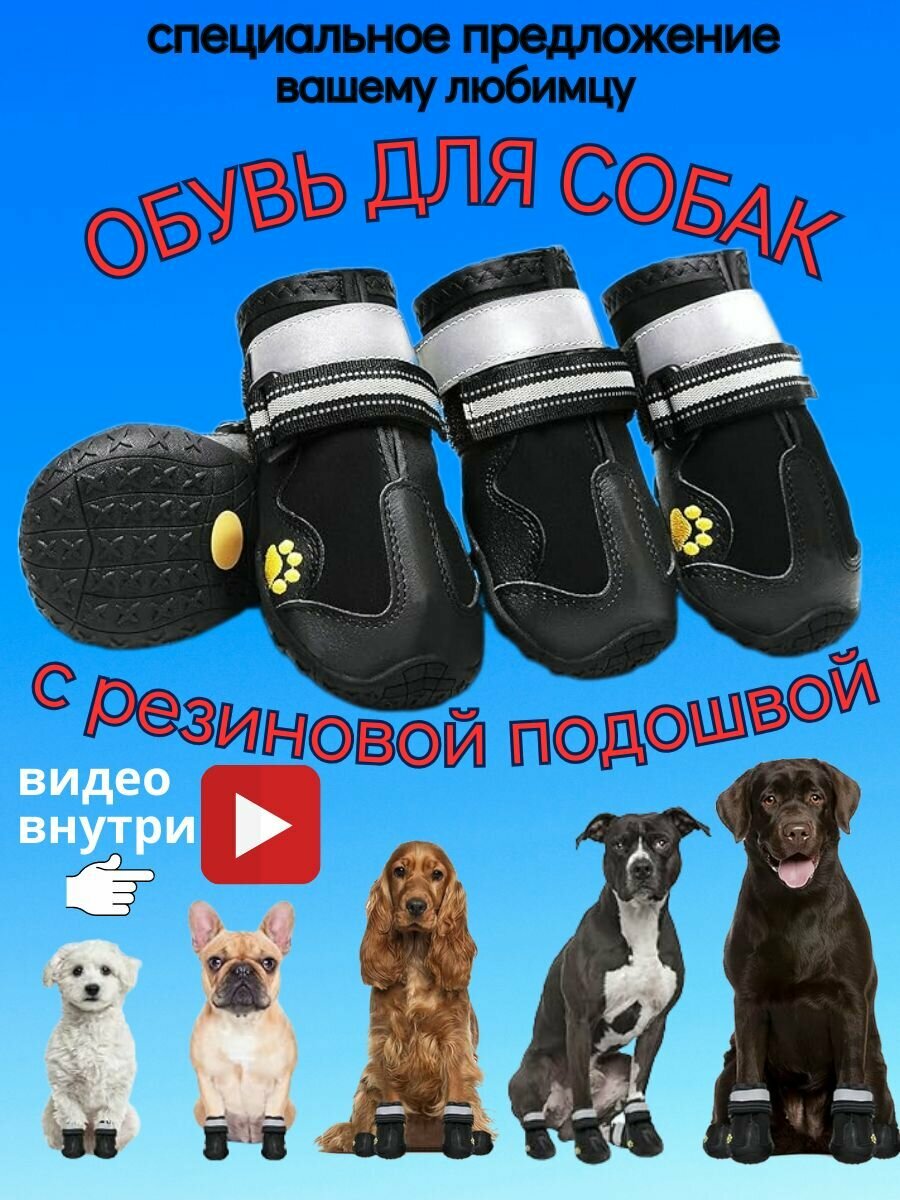 Обувь для собак