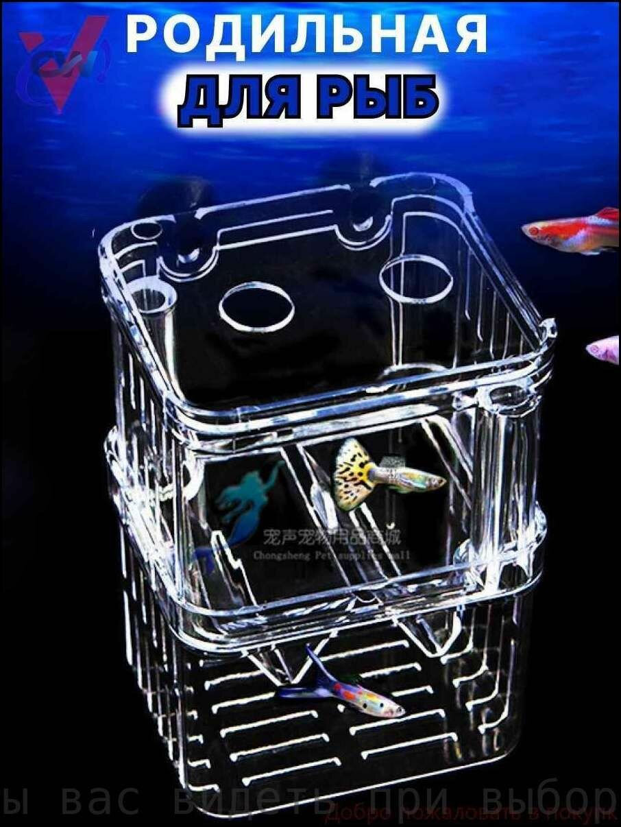 Родильная палата для рыб, инкубатор мальков, изолятор больных и ослабленных 10х7х8 см