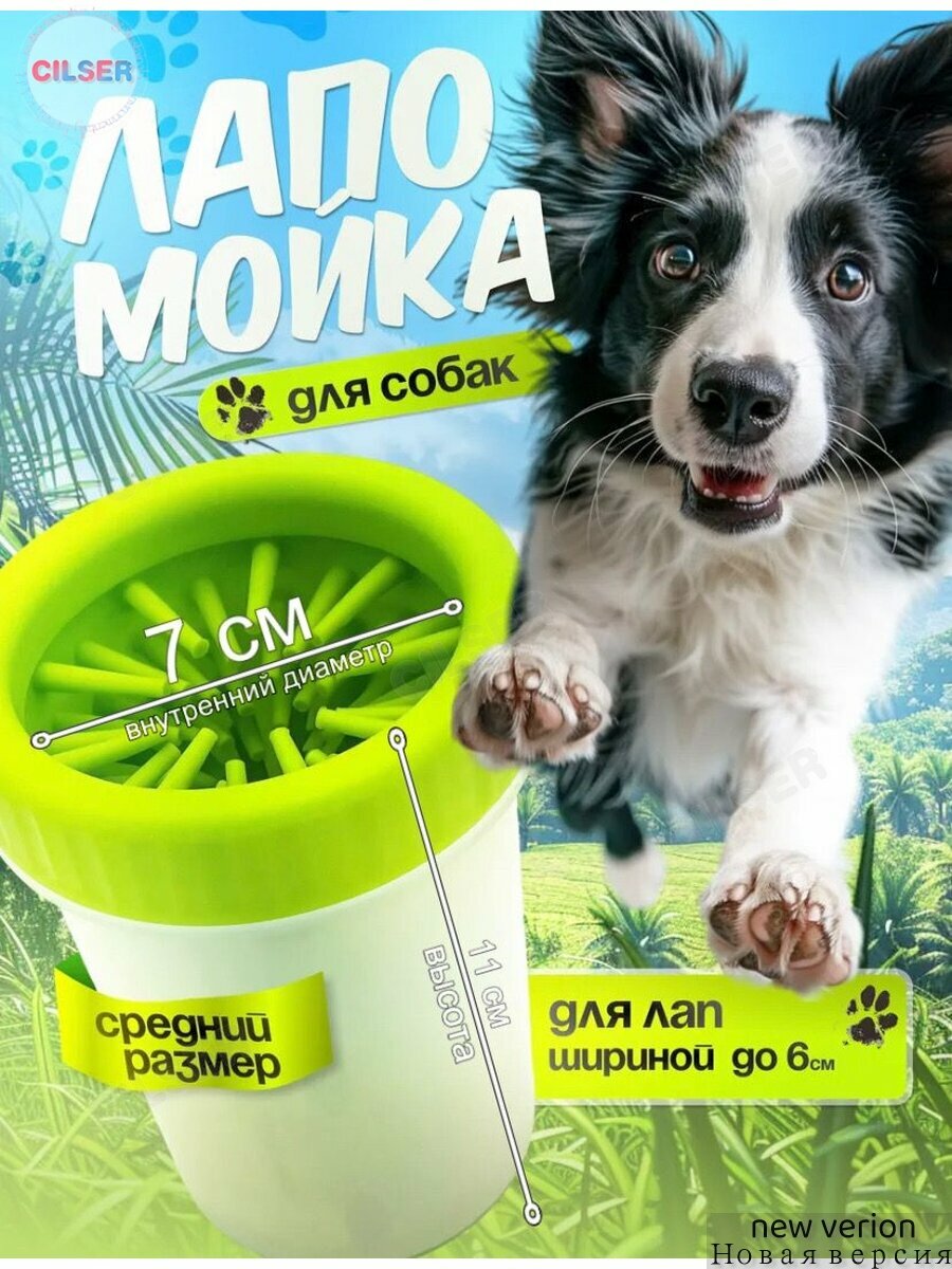 ЛапомойкаA