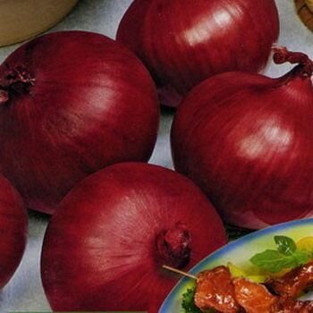 Коллекционные семена лука репчатый От семи недуг