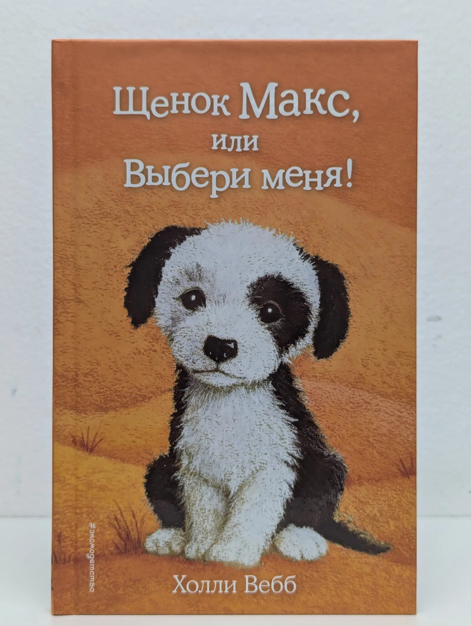 Щенок Макс, или Выбери меня! Вебб Холли 2017