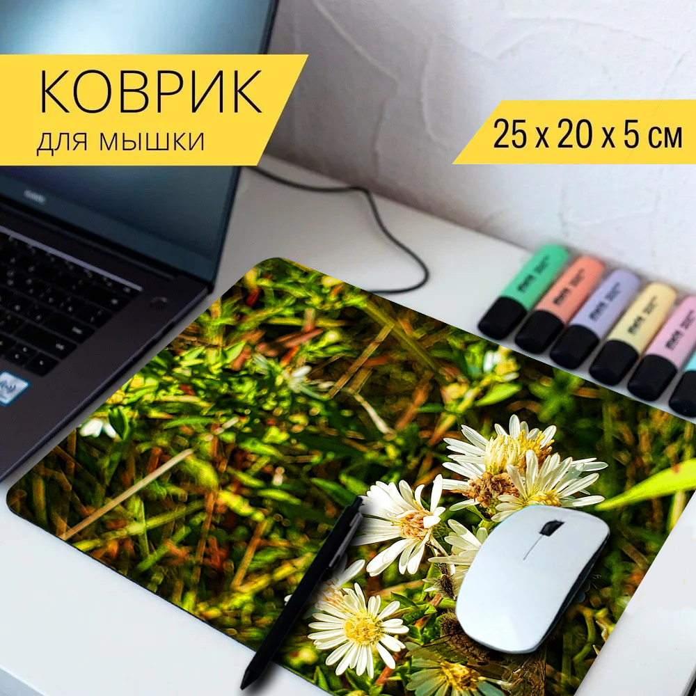 Коврик для мыши с принтом "Шмель на цветах Художественное изображение большого шмеля на маленьких белых ромашковых полевых цветах пчела пчелы шмели цветок полевые цветы." 25x20см.