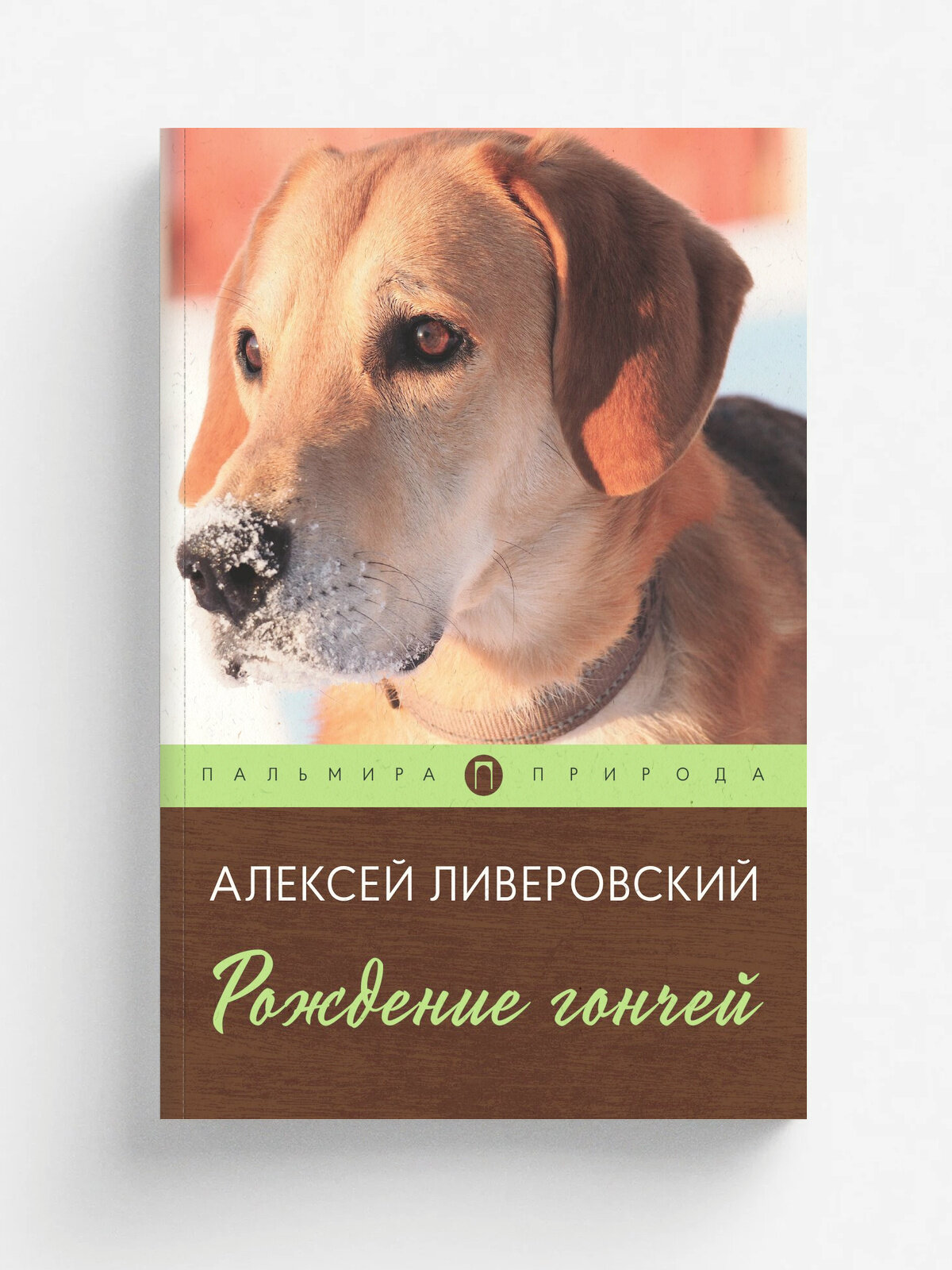 Рождение гончей