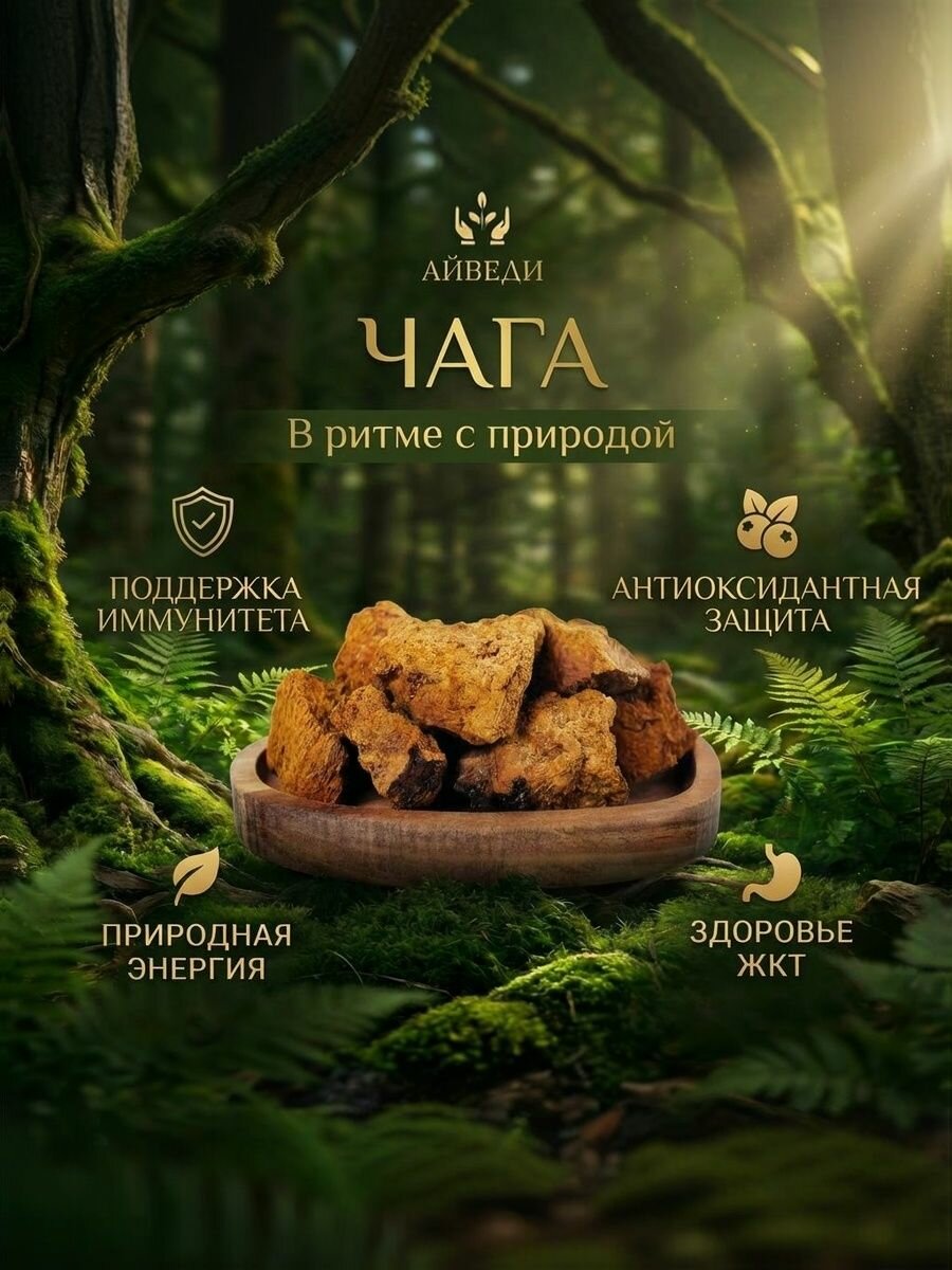 Чага цельная "Айведи" 100гр
