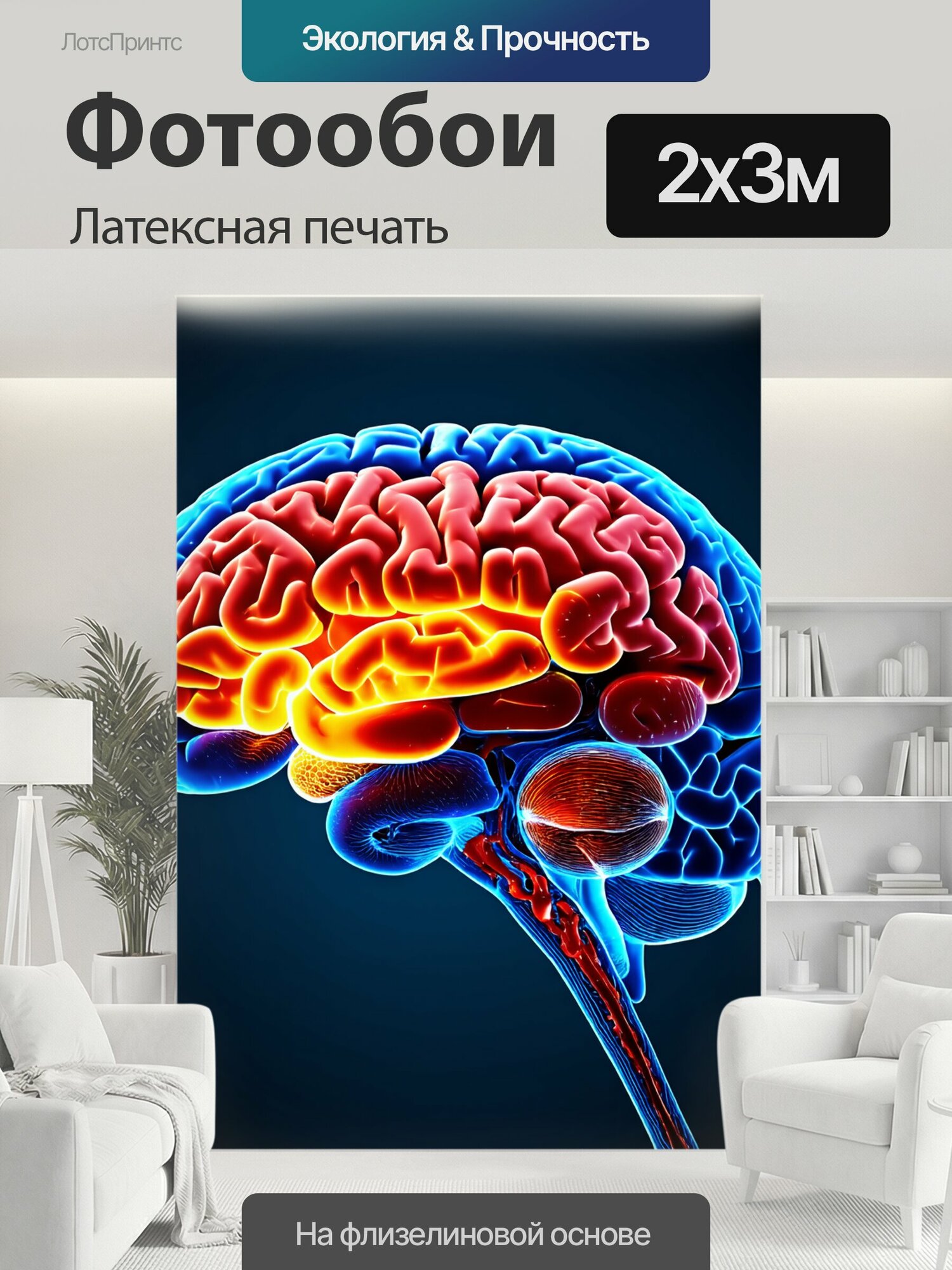 Фотообои моющиеся ударопрочные "Анатомическое изображение мозга, выполненное в редком стиле научной фантастики с нетрадиционными элементами." 200x300 см. латексная печать