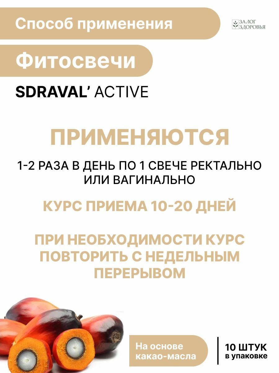 Фитосвечи "SDRAVAL' ACTIVE", 10 шт. — фото 1